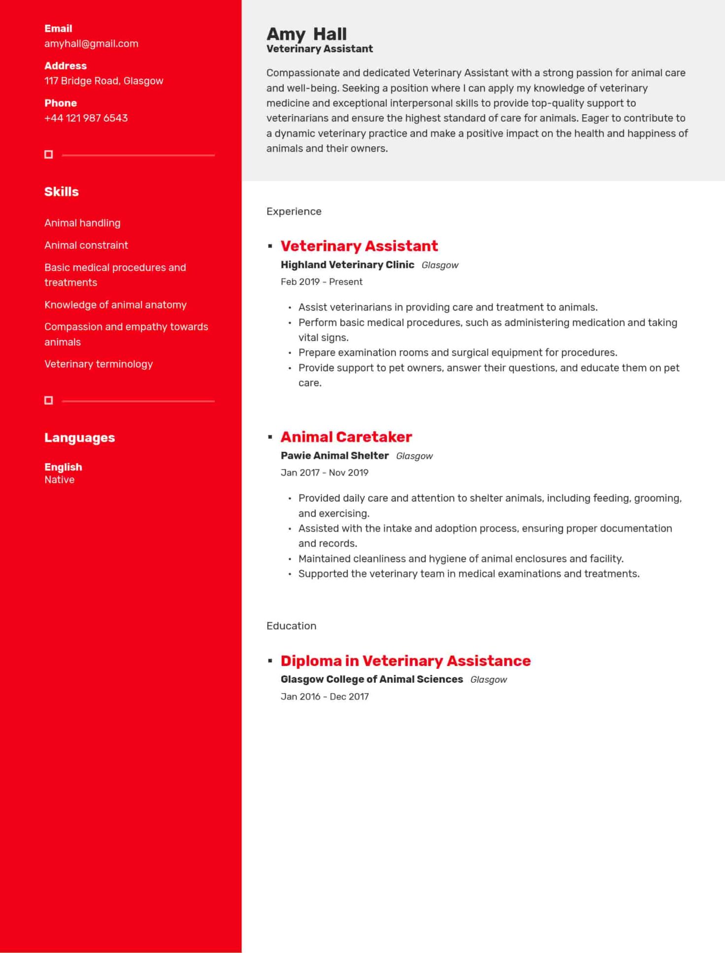 Chronological CV writing guide | CV Whizz